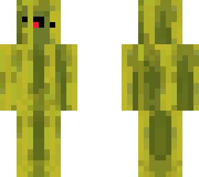 Watermelon glorp | Minecraft Skin