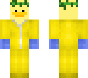 Breaking Bad Duck AgrippapasPapa | Minecraft Skin