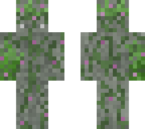 void king | Minecraft Skins