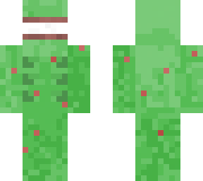 Mushed - Mouth Closed | Minecraft Skin