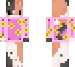 meow | Minecraft Skin