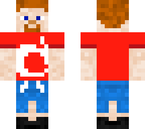 developer steve | Minecraft Skins
