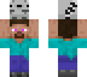steve holding a racoon | Minecraft Skin