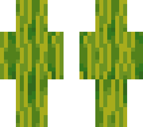 melon | Minecraft Skins
