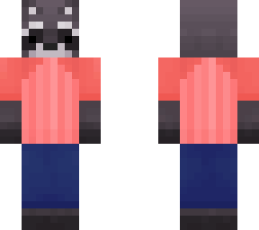 raccon | Minecraft Skins