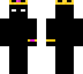 STORMRAIDER877's shadow skin with accesories | Minecraft Skin