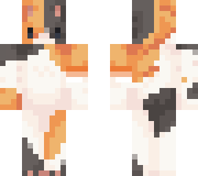 Calico Cat | Minecraft Skin