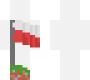 polish | Minecraft Skins