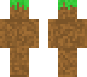 dirt | Minecraft Skins