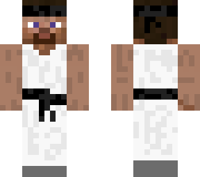 Karate Steve | Minecraft Skin