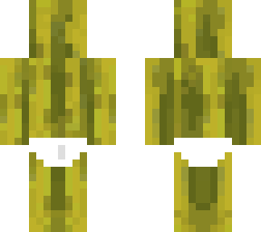 Melon | Minecraft Skin