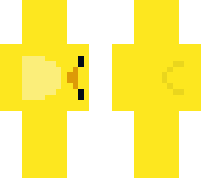 Rotated Duck | Minecraft Skin