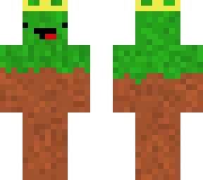 grass block | Minecraft Skins