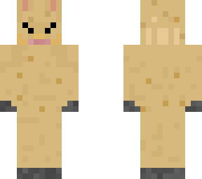LAMA | Minecraft Skin