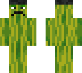 watermelon | Minecraft Skins