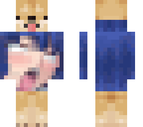 doge | Minecraft Skins