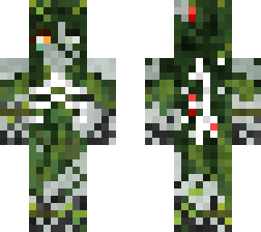 Rotting Bog Witch | Minecraft Skin