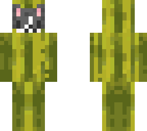 watermelon | Minecraft Skins