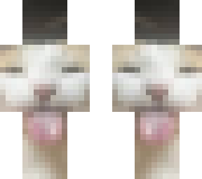 silly car | Minecraft Skin