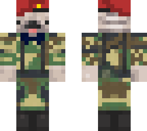pug | Minecraft Skins