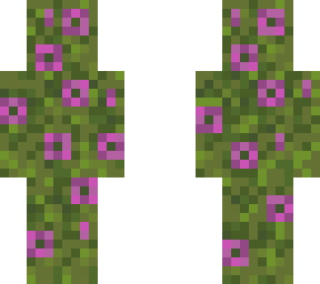 moss block with flowers | Minecraft Skin