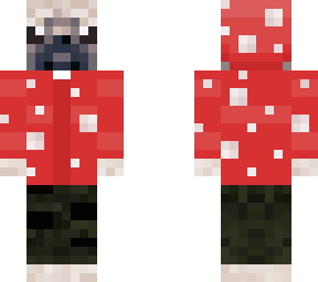 pug | Minecraft Skins