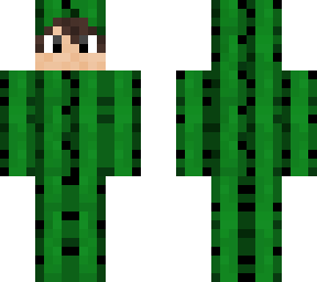 Farm Cactus | Minecraft Skin