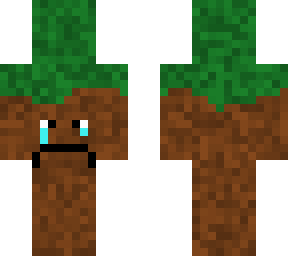dirt block guy | Minecraft Skins