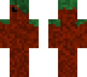 grass boy | Minecraft Skin