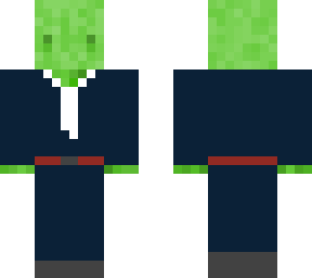 Fancy Turtle | Minecraft Skin