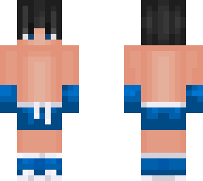 Raccu box | Minecraft Skin