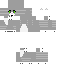 Grey Tabby Cat | Minecraft Skin