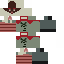 PECK - Animal Crossing | Minecraft Skin