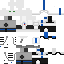 Blue Team Border Patrol | Minecraft Skin