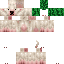 Walter dog with watermelon hat | Minecraft Skin