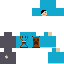 Lego Minecraft 21151 Dragon slayer | Minecraft Skin