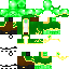 Green Apprentice | Minecraft Skin