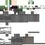 Inverted Aromantic BoomerNA Skin | Minecraft Skin