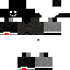 error 303 skin update | Minecraft Skin