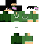 RTGame Green Guardians MCC Skin | Minecraft Skin