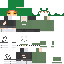 derp phrog | Minecraft Skin