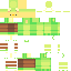 ribbit duck | Minecraft Skin