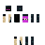 Shulker and Enderman Pixel art | Minecraft Skin