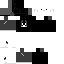 black and white skin of pfp | Minecraft Skin