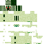 Green Day | Minecraft Skin
