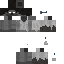 Inverted steve | Minecraft Skin