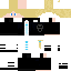 Agent P | Minecraft Skin