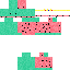 Watermelon Gamer | Minecraft Skin