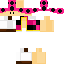 Textureless Toad | Minecraft Skin