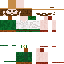 norm the niner | Minecraft Skin